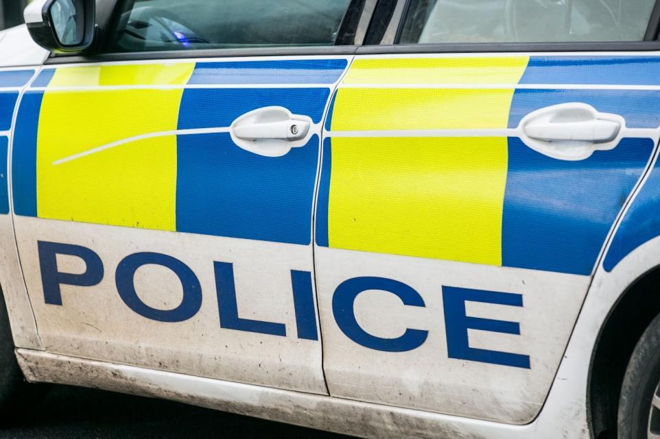 Three people arrested after dog attack in Middlesbrough | The Northern Echo